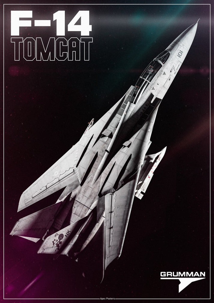F-14 Tomcat Poster – Apex Posters